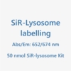 SiR-lysosome kit - Live cell lysosome probe - spirochrome