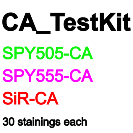 SiR-DNA kit - Live cell DNA stain - spirochrome