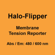 Flipper-TR® - Live cell membrane tension probe - spirochrome